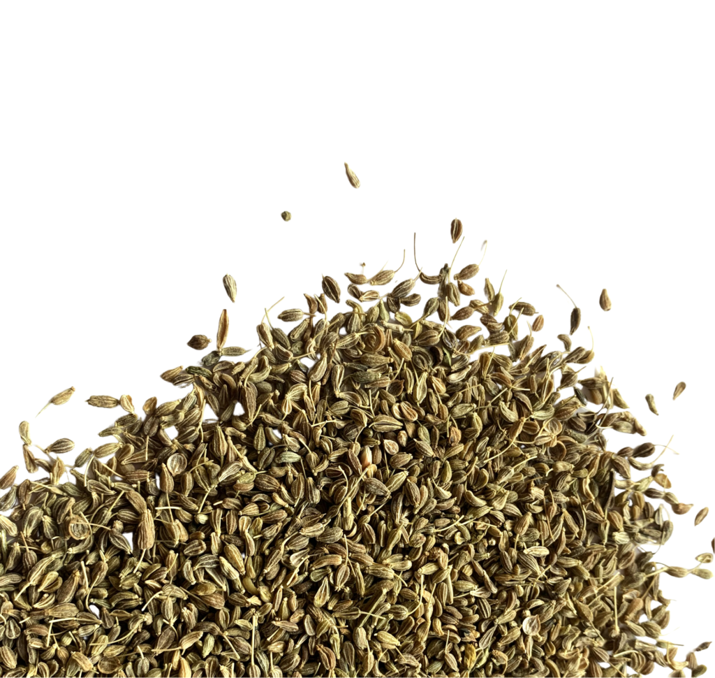 Anise Seed Ellens Planted Tea